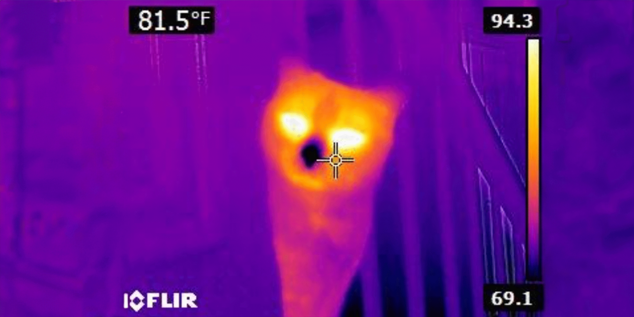 How to Calculate Snow Weight from Depth and Density - Wallace Design ...